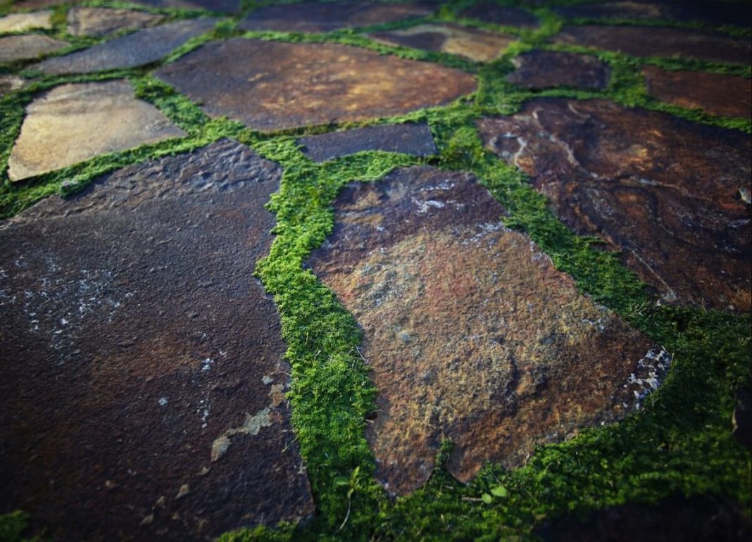 43 Best Stone Walkway Ideas and Designs for Your Garden (2024)