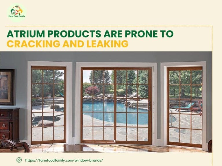 The 28 Worst and Best Window Brands (2024 Comparison Guide)