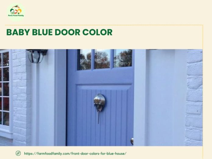 105+ Best Front Door Colors For A Blue House (Designs in 2024)