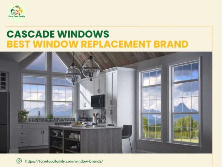 The 28 Worst and Best Window Brands (2024 Comparison Guide)