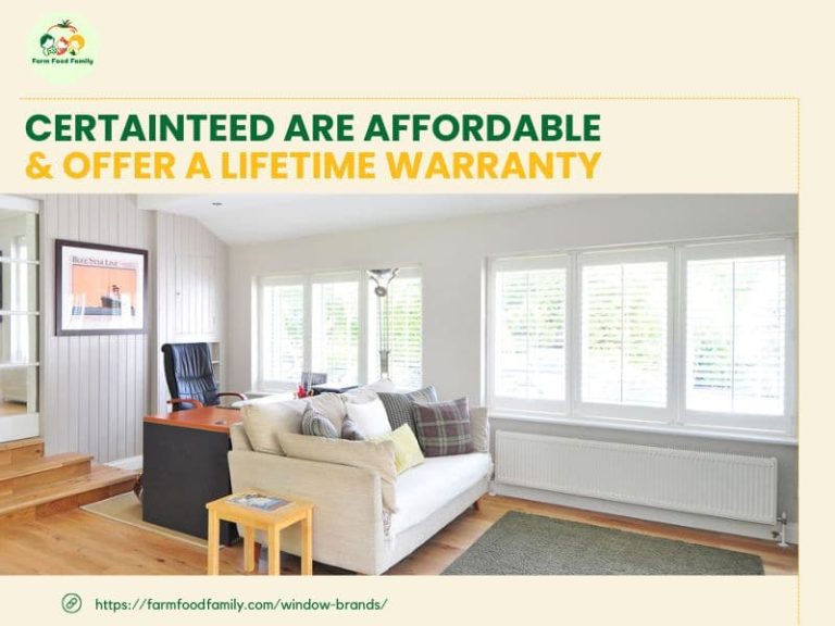 The 28 Worst and Best Window Brands (2024 Comparison Guide)