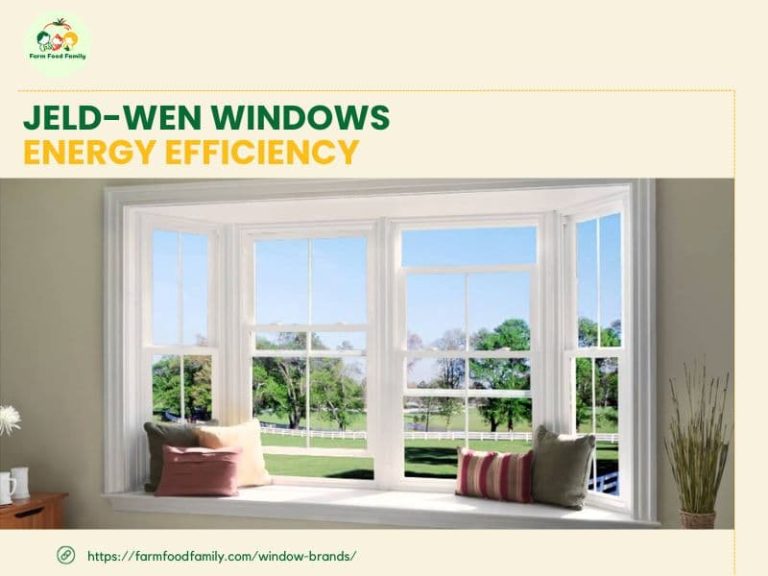 The 28 Worst and Best Window Brands (2024 Comparison Guide)