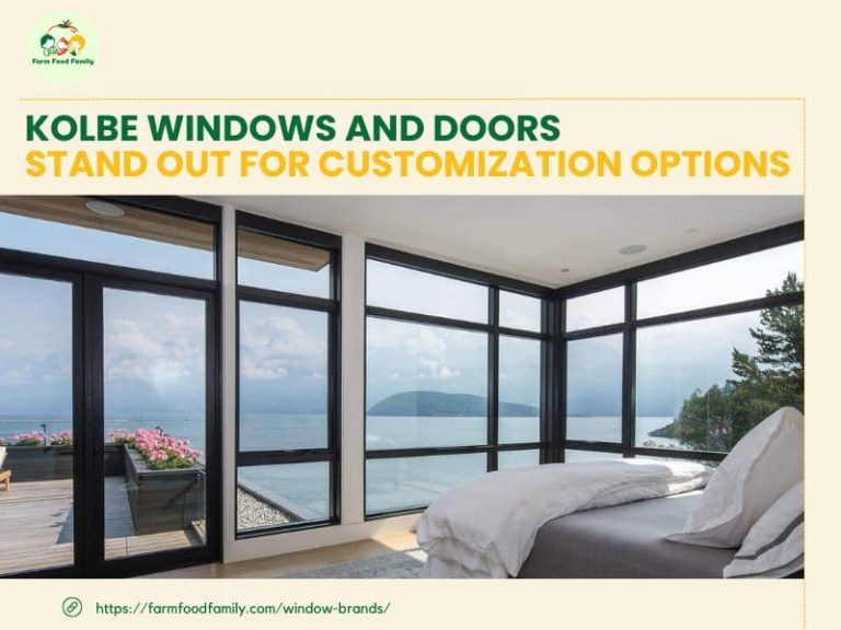 The 28 Worst and Best Window Brands (2024 Comparison Guide)