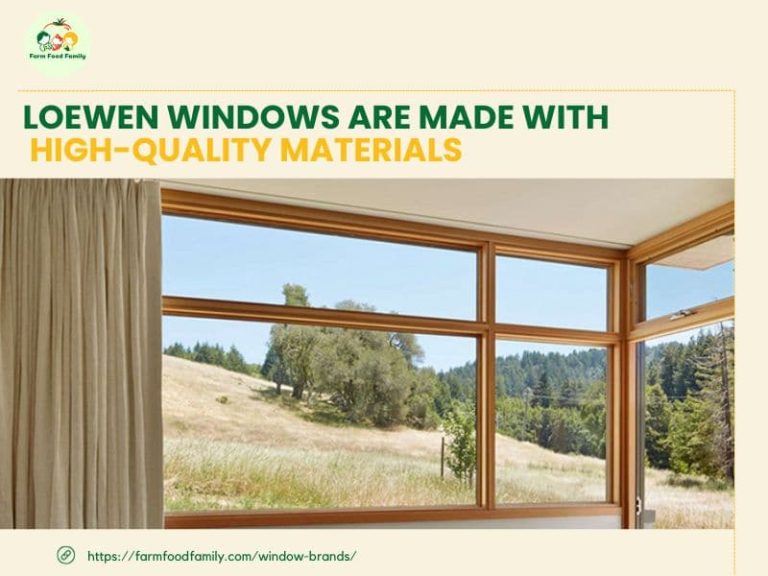 The 28 Worst and Best Window Brands (2024 Comparison Guide)