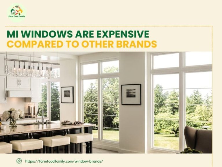 The 28 Worst and Best Window Brands (2024 Comparison Guide)