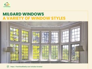 The 28 Worst and Best Window Brands (2024 Comparison Guide)