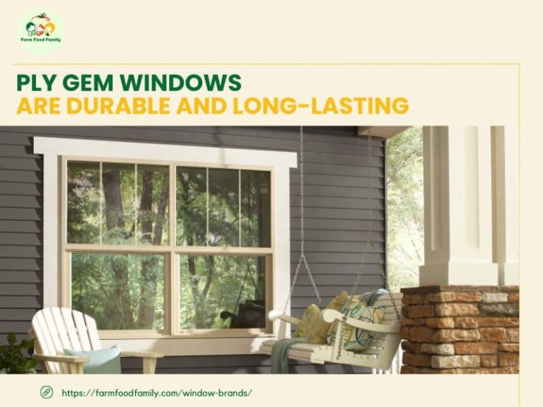 The 28 Worst and Best Window Brands (2024 Comparison Guide)
