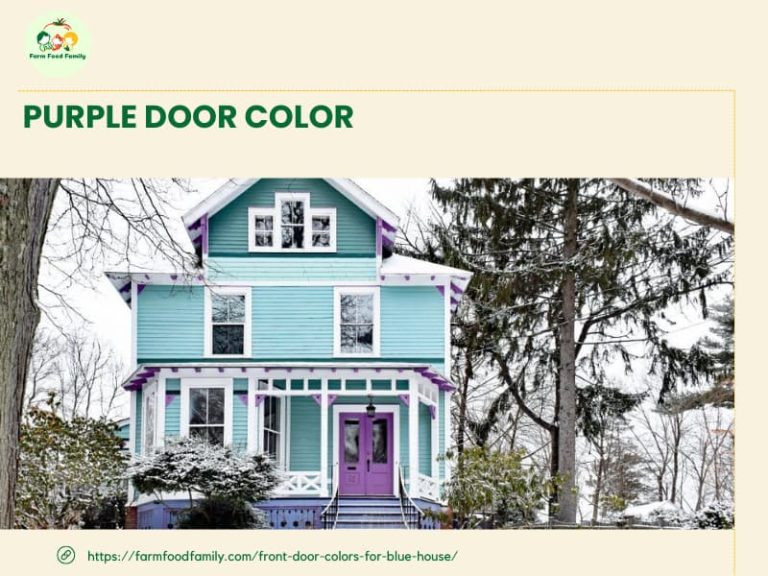 105+ Best Front Door Colors For A Blue House (Designs in 2024)