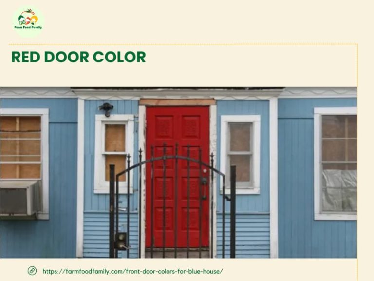 105+ Best Front Door Colors For A Blue House (Designs in 2024)