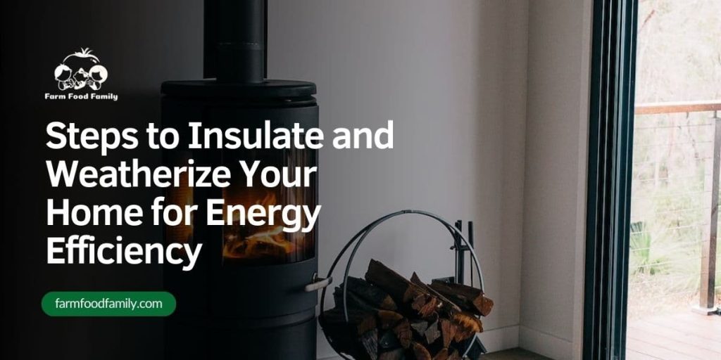 Steps to Insulate and Weatherize Your Home for Energy Efficiency