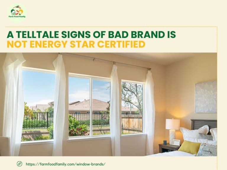 The 28 Worst and Best Window Brands (2024 Comparison Guide)