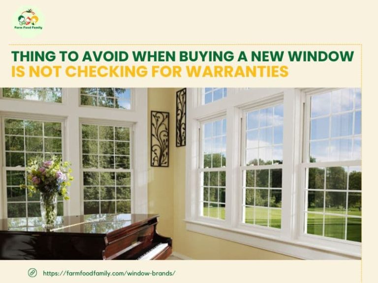 The 28 Worst and Best Window Brands (2024 Comparison Guide)