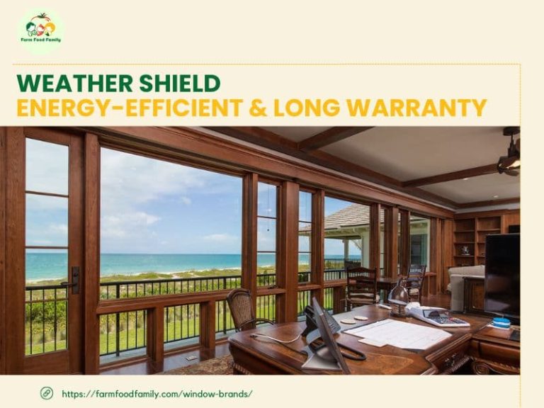 The 28 Worst and Best Window Brands (2024 Comparison Guide)