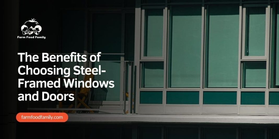 Strength in Design: The Benefits of Choosing Steel-Framed Windows and Doors