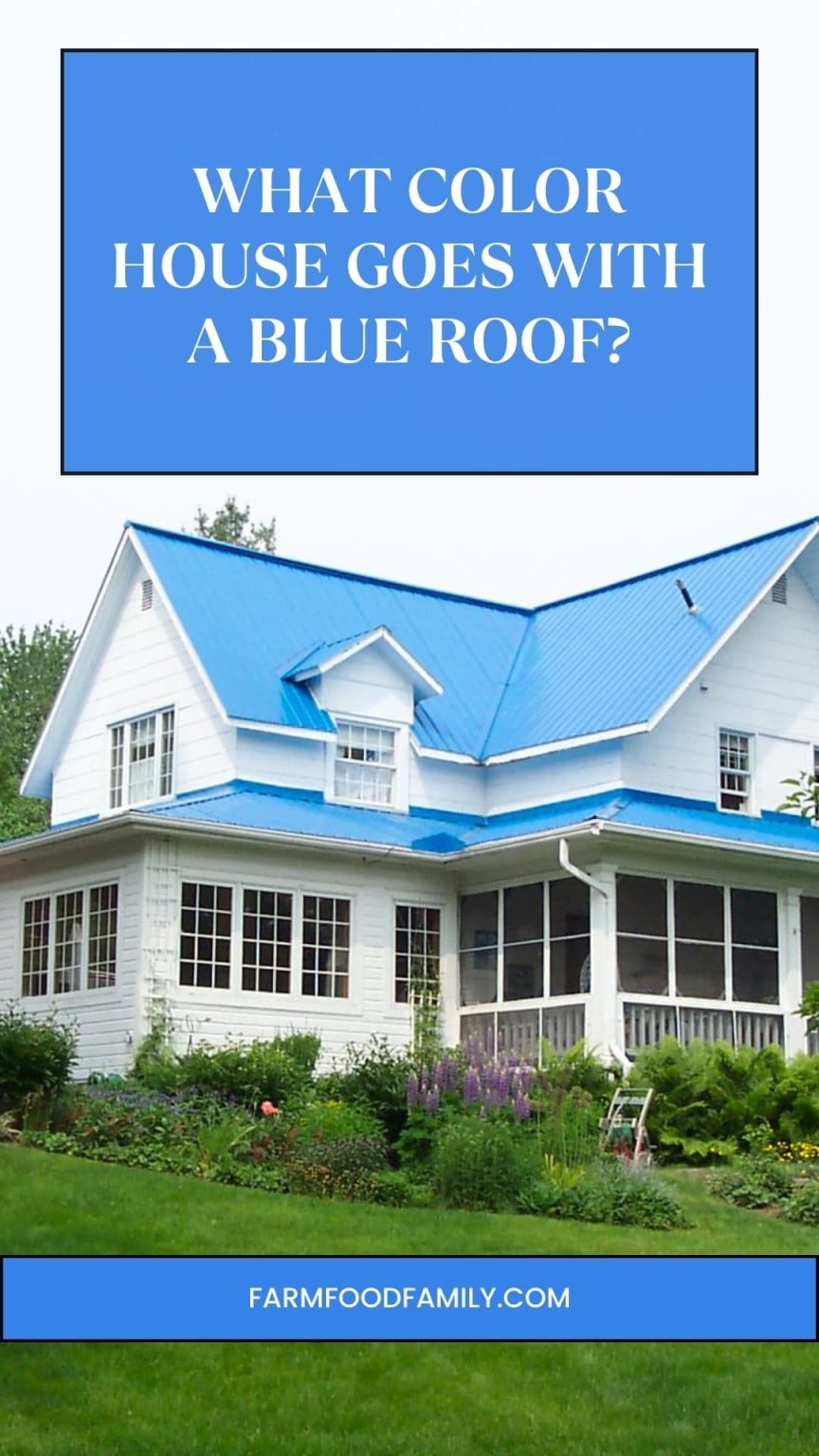 What Color House Goes With a Blue Roof? (2024) - FarmFoodFamily
