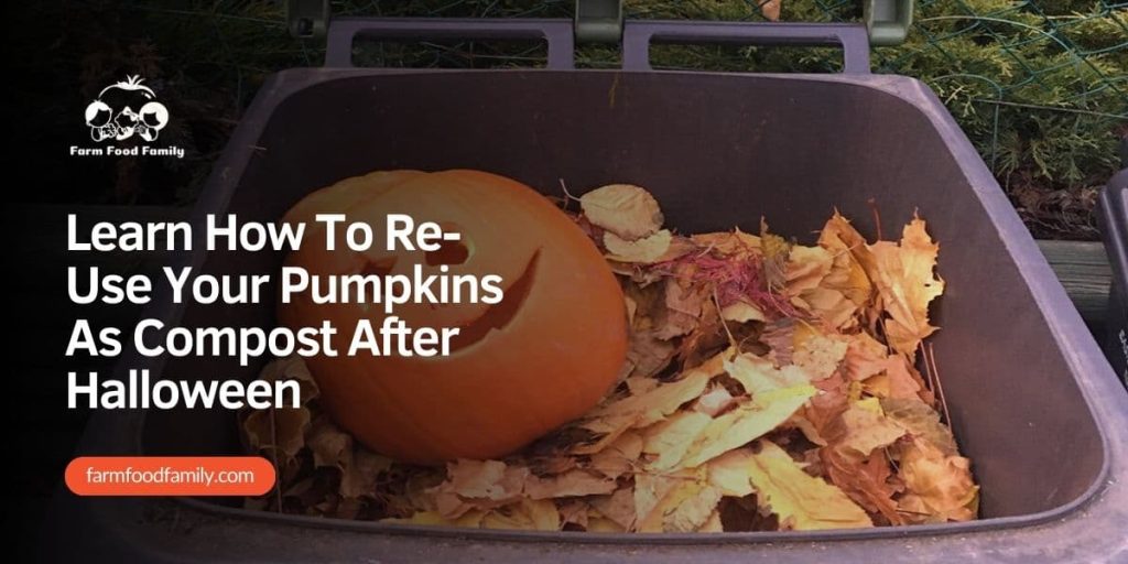 Learn How To Re-Use Your Pumpkins As Compost After Halloween ...