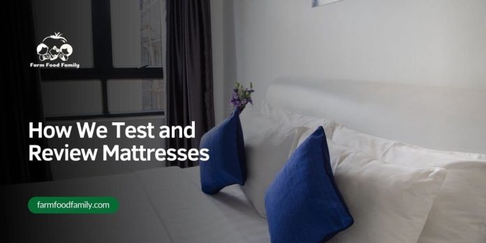 How We Test and Review Mattresses - FarmFoodFamily