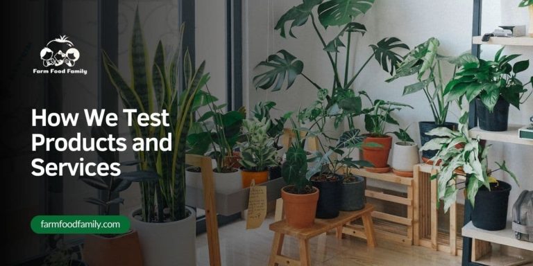 How We Test Products and Services - FarmFoodFamily