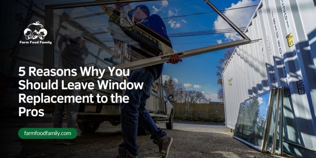 5 Reasons Why You Should Leave Window Replacement to the Pros