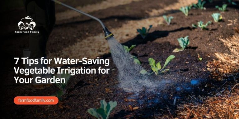 7 Tips for Water-Saving Vegetable Irrigation for Your Garden