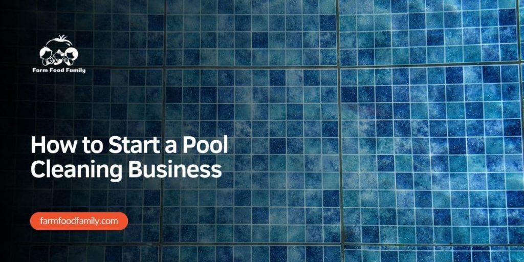 How to Start a Pool Cleaning Business - FarmFoodFamily