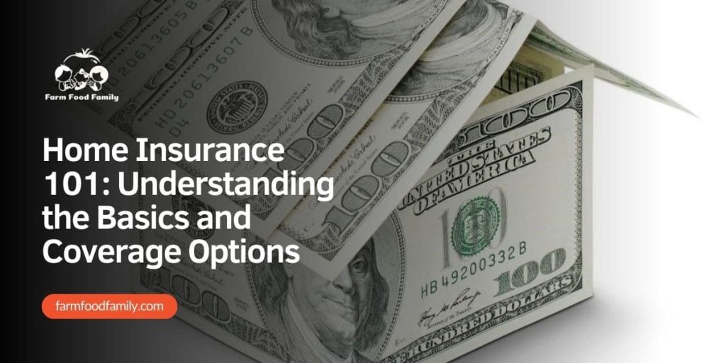 Home Insurance 101: Understanding the Basics and Coverage Options