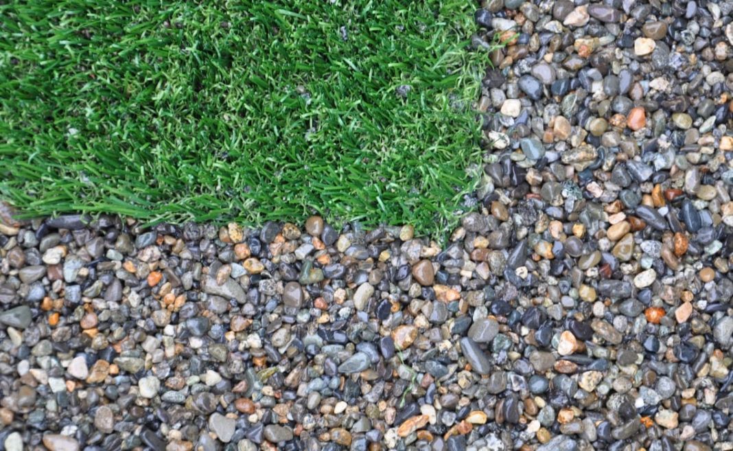 10 Creative Dog Potty Area Ideas for Your Backyard Oasis (2024)