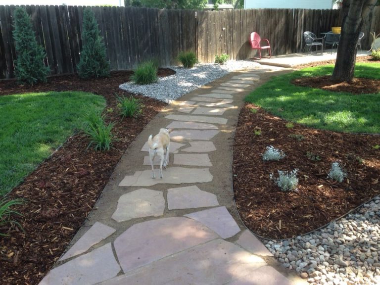 10 Creative Dog Potty Area Ideas for Your Backyard Oasis (2024)