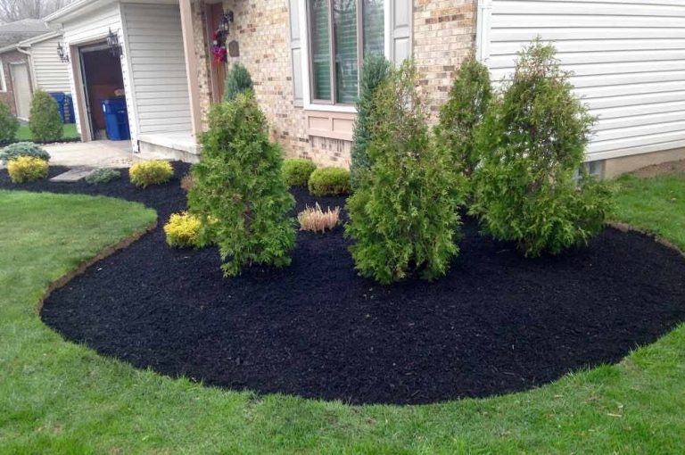 20+ Best Black Mulch Landscaping Ideas: 2024 Trends - FarmFoodFamily