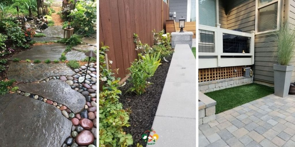 10 Creative Dog Potty Area Ideas for Your Backyard Oasis (2024)