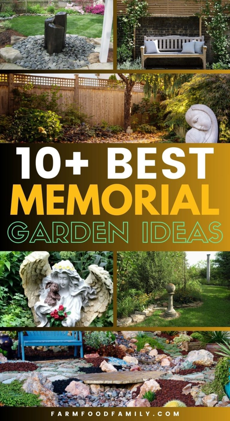 10 Memorial Garden Ideas to Honor Your Loved Ones (2024)