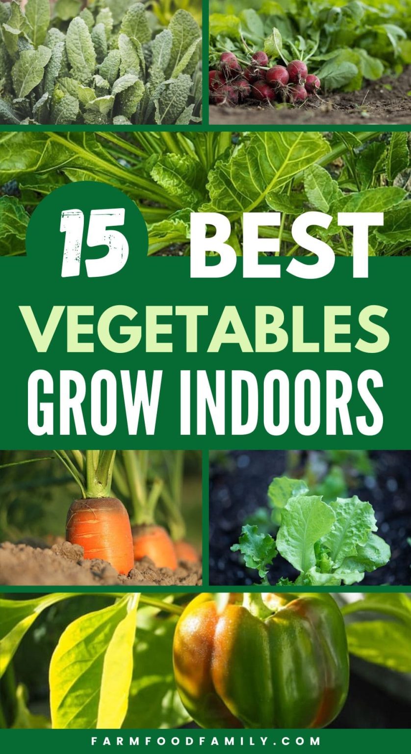15 Best Vegetables That Can Grow Indoors - Top Picks 2024