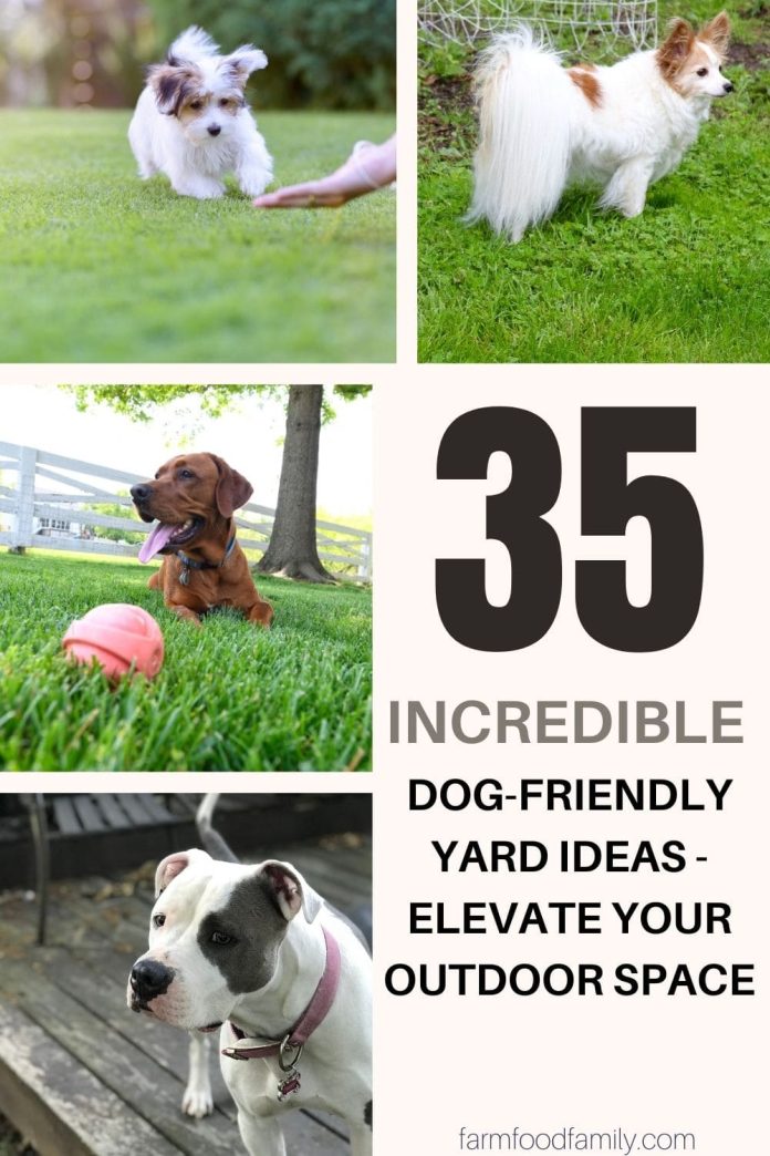 65+ Great Dog-Friendly Backyard Landscaping Ideas & Designs For 2024