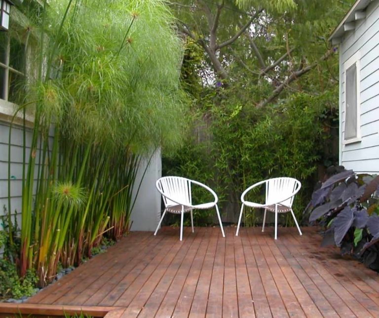 How to Create Privacy in Your Backyard Without a Fence (30 Creative Ideas)