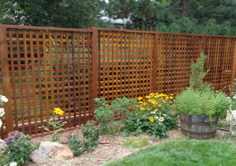 How to Create Privacy in Your Backyard Without a Fence (30 Creative Ideas)