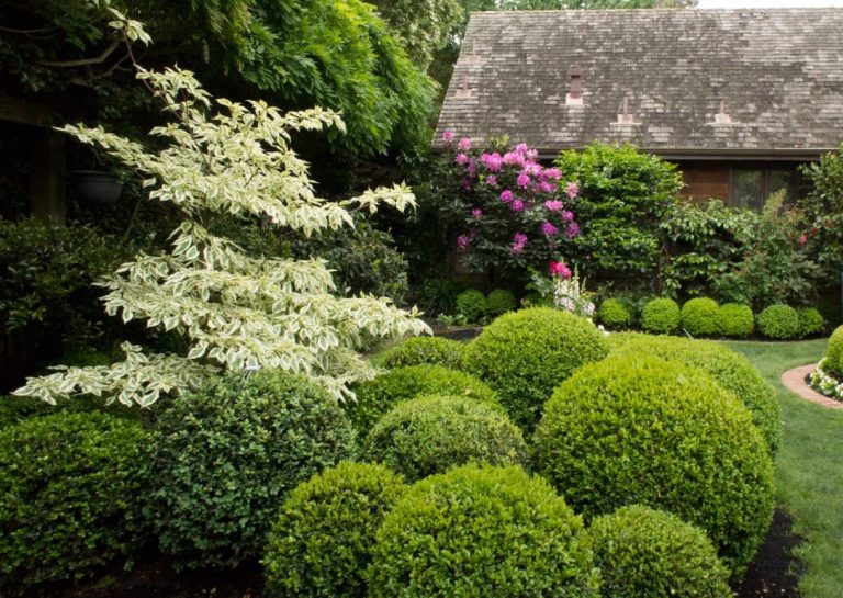 How to Create Privacy in Your Backyard Without a Fence (30 Creative Ideas)