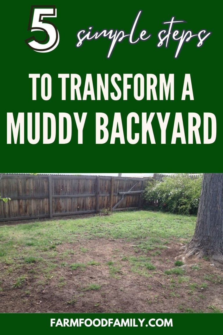 How to Fix a Muddy Backyard - FarmFoodFamily