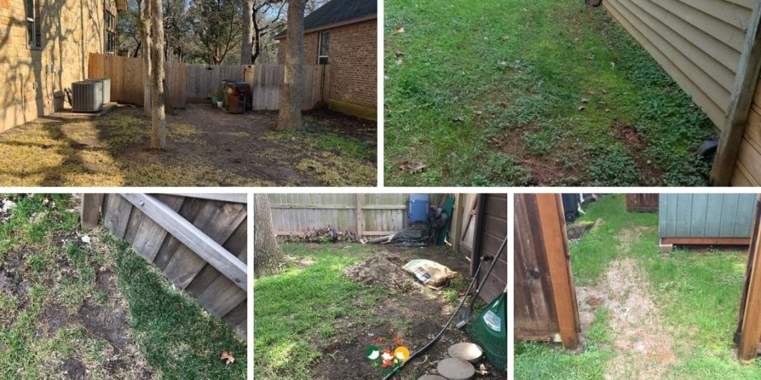 How to Fix a Muddy Backyard - FarmFoodFamily