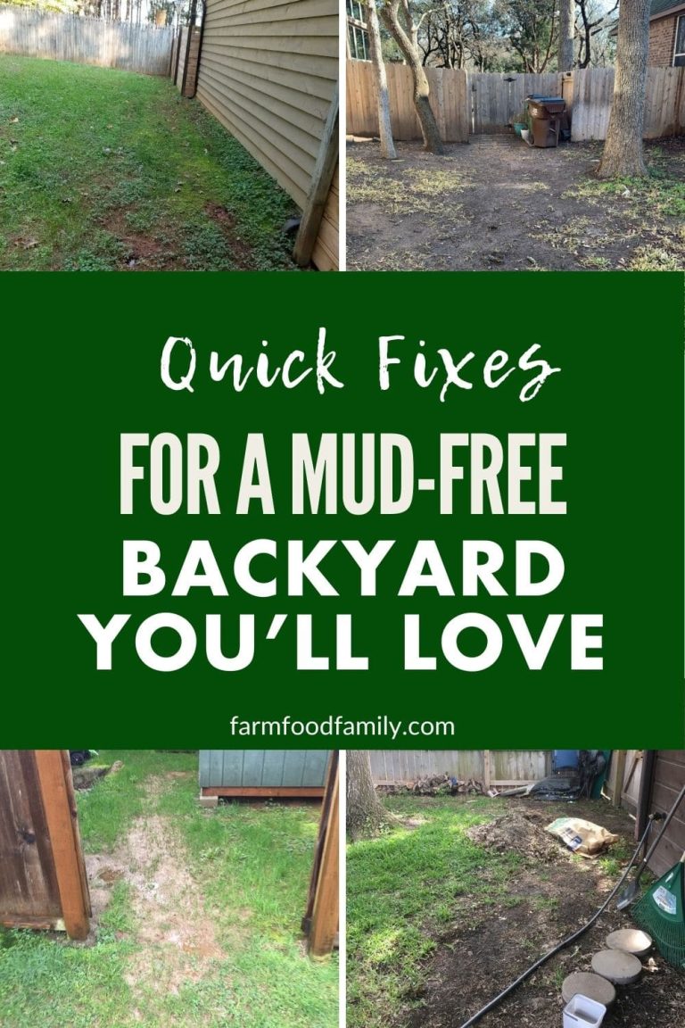 How to Fix a Muddy Backyard - FarmFoodFamily