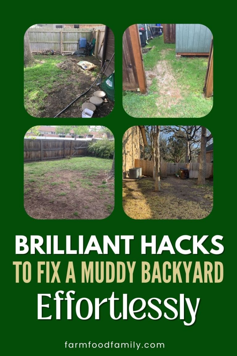 How to Fix a Muddy Backyard - FarmFoodFamily