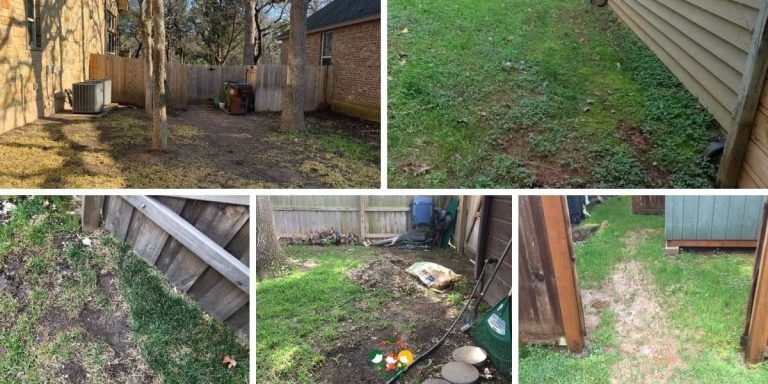 How to Fix a Muddy Backyard - FarmFoodFamily