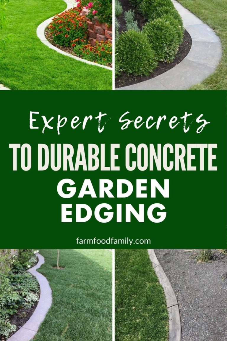 How to Make Concrete Garden Edging - FarmFoodFamily