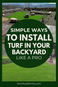 How to Install Turf in Your Backyard (4 Easy Steps) – FarmFoodFamily