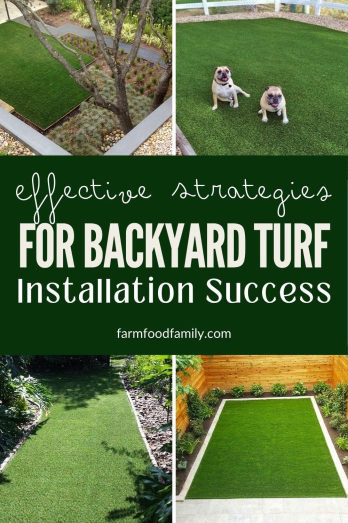 How to Install Turf in Your Backyard (4 Easy Steps) – FarmFoodFamily