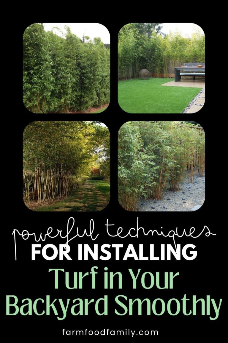 How to Install Turf in Your Backyard (4 Easy Steps) – FarmFoodFamily