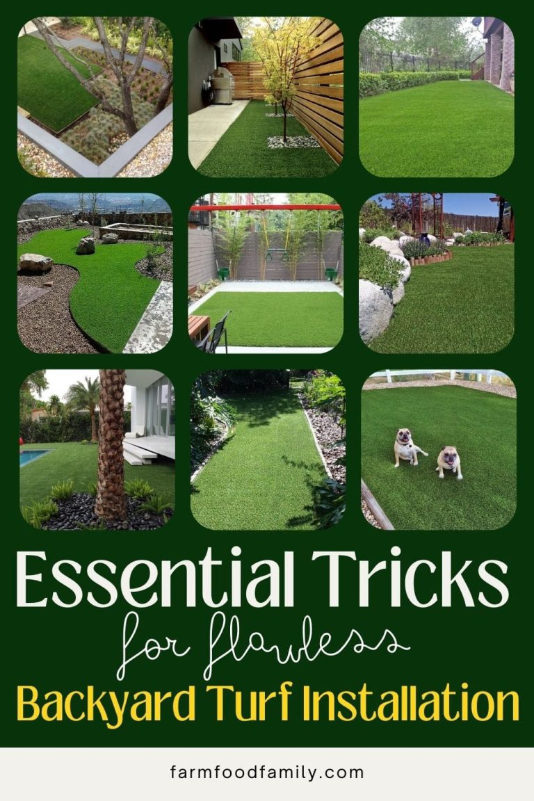 How to Install Turf in Your Backyard (4 Easy Steps) – FarmFoodFamily