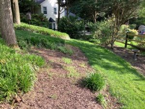 How to Level a Backyard: Step-by-step Guide - FarmFoodFamily