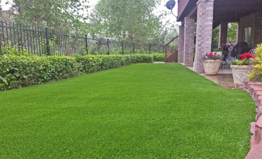 How to Install Turf in Your Backyard (4 Easy Steps) – FarmFoodFamily