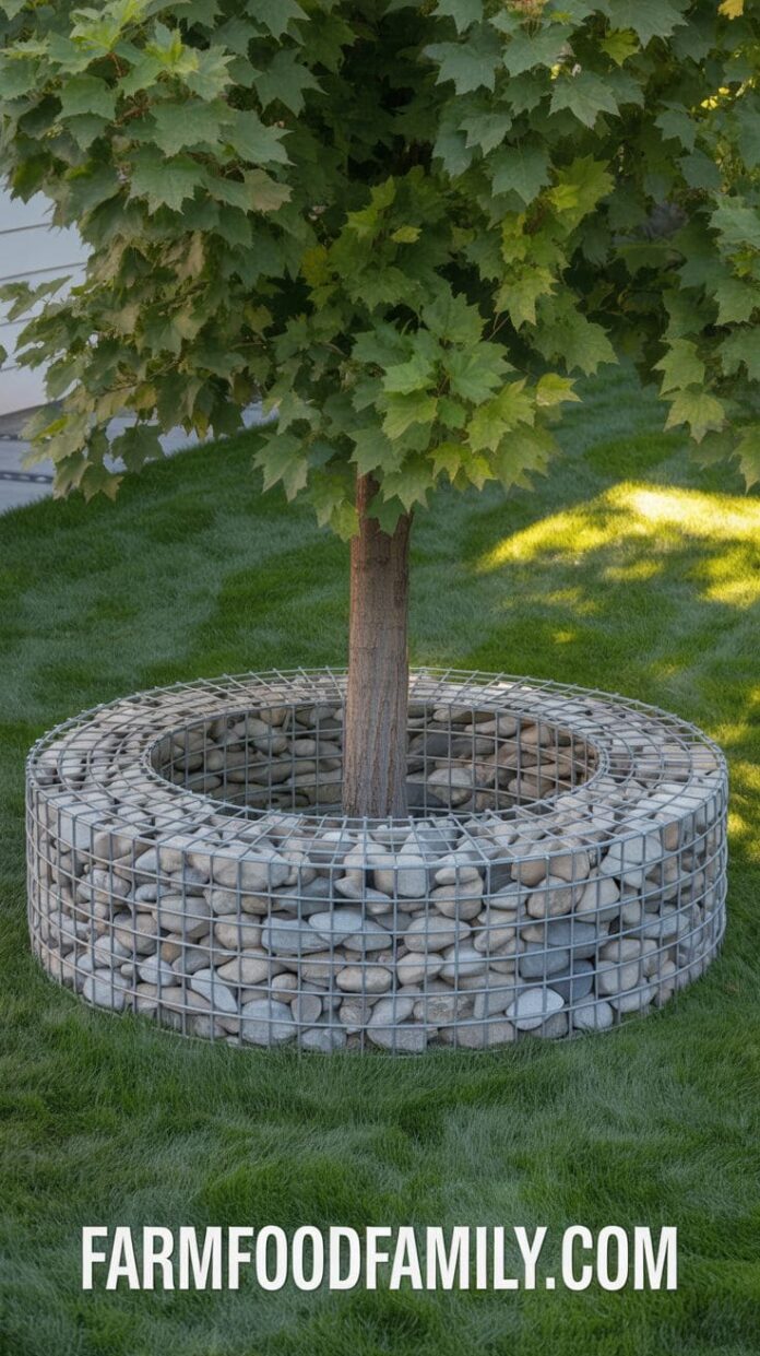 35+ Innovative Edging Around Trees Ideas for Every Garden Style (2026)