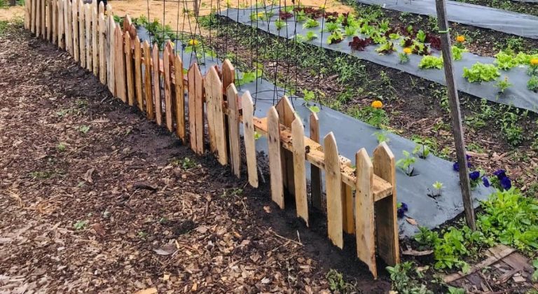 20 Amazing Pallet Fence Ideas to Transform Your Yard – FarmFoodFamily